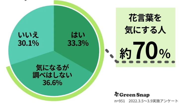 薔薇の花言葉は怖い？注意が必要な色や本数は？紫・ピンクの意味は？ めりもの深堀りブログ